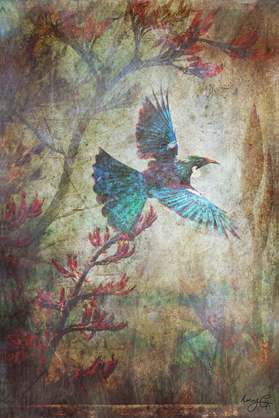 Lucy G As Free As A Bird 60x40cm canvas - NZ : Kathryn Furniss at The ...