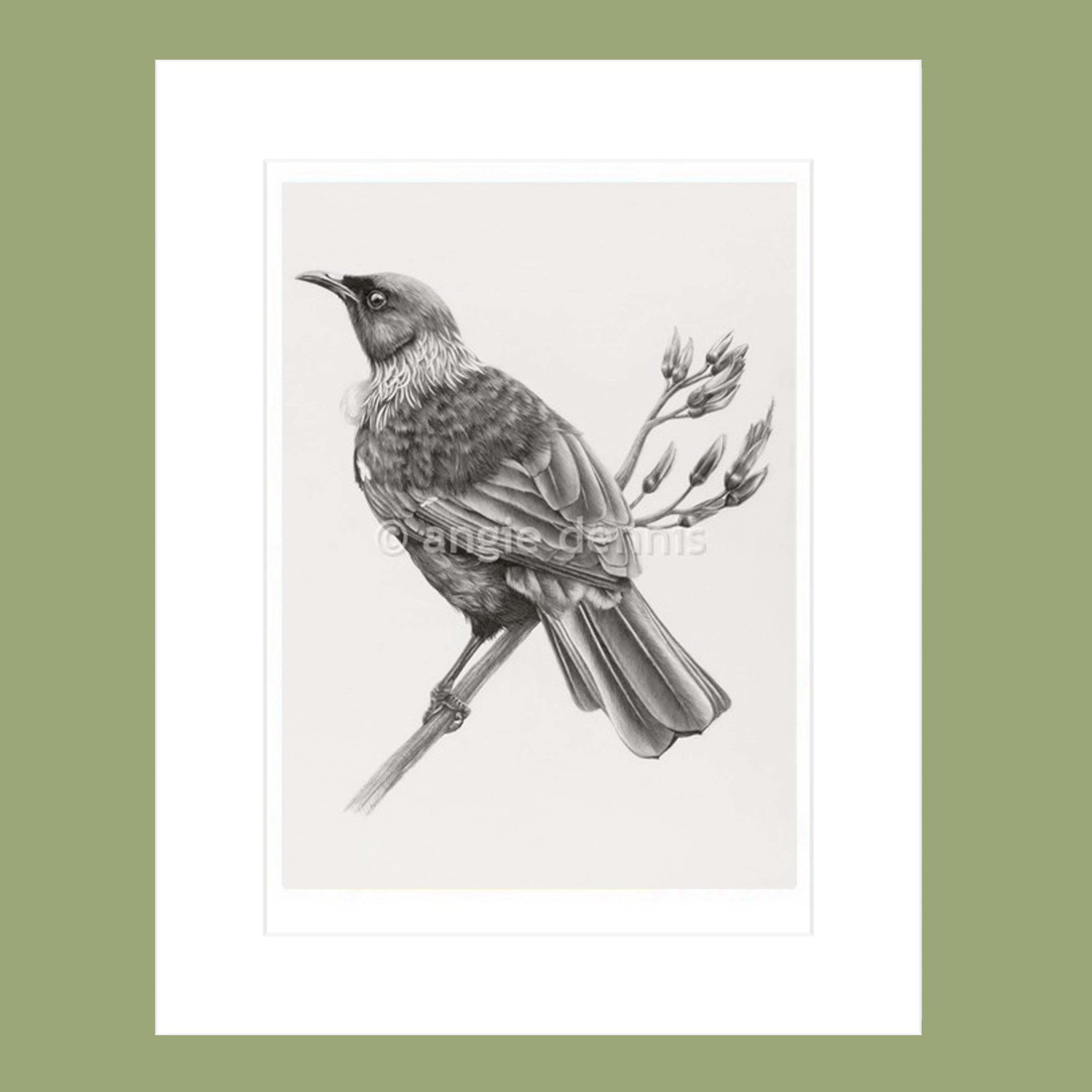 Tara Cassidy Tui Matted Foam Print A3 Tara Cassidy At The Vault Nz Nz