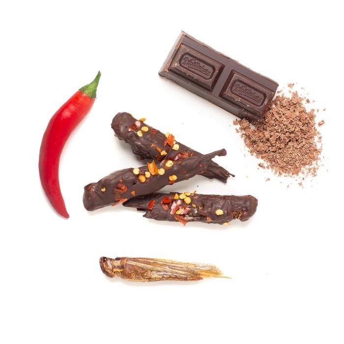 Chilli Chocolate Locusts 10g box - Artist and Brands at The Vault NZ - NZ